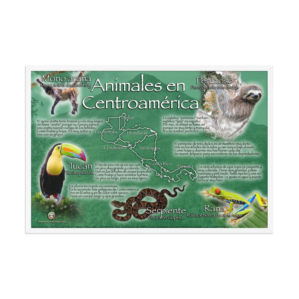 Animals of Central America Learning Poster – Maps & Words